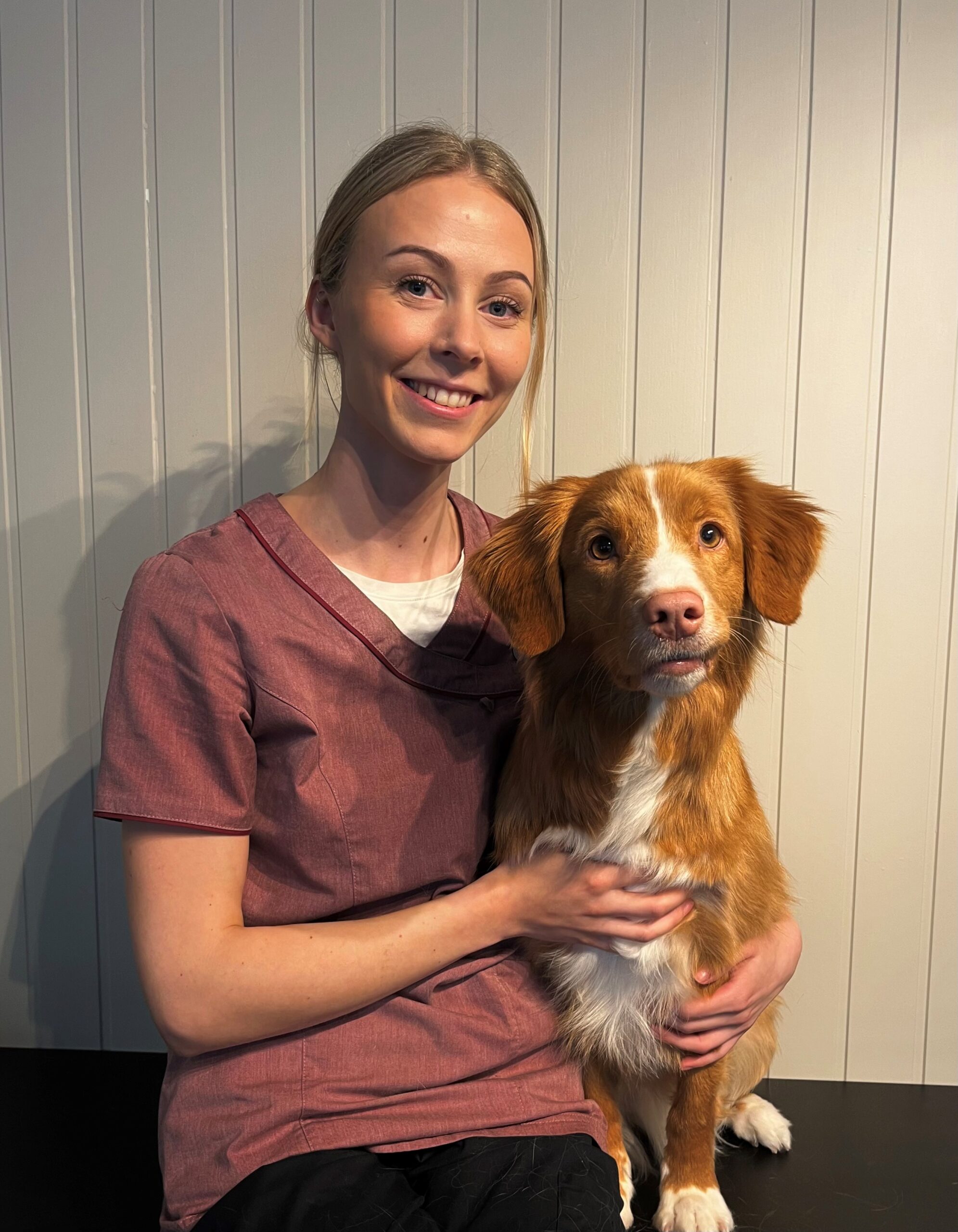 Om oss | Solør Dyreklinikk